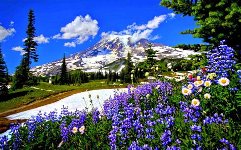Beautiful Spring Scenery Wallpapers Top Free Beautiful Spring Scenery