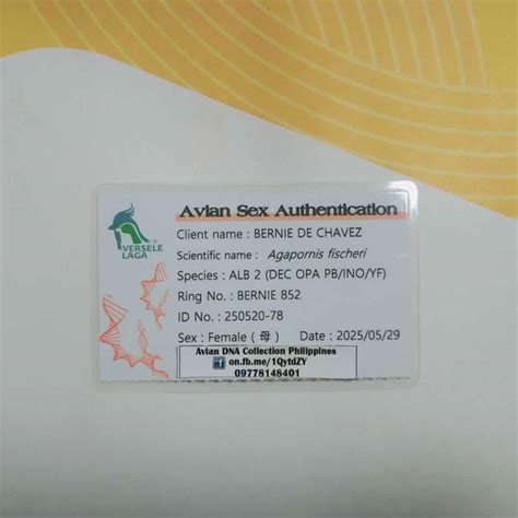 Belle Espinosa Barqueros