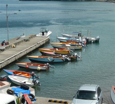 Our Work Fish Safety Foundation