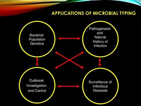 Choosing The Right Microbial Typing Method A Quantitative Approach