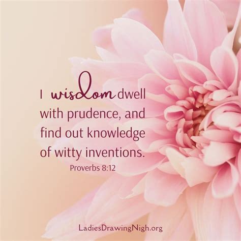Who Is Speaking In Proverbs 8 What Does It Mean Ladies Drawing Nigh