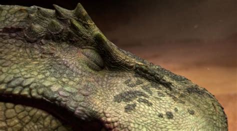 Dino King Speckles 10 By Dracotyrannus On Deviantart