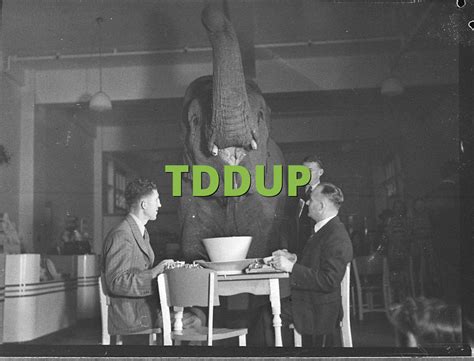 Tddup Meaning