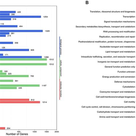 Pdf Comparative Transcriptome Analysis Identifies Putative Genes Involved In The Biosynthesis