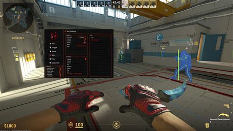 Insanity Cs2 Cheat Counter Strike 2