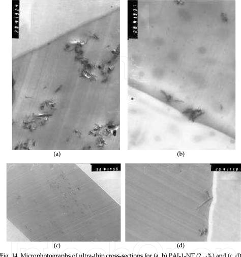 Figure 14 From Polyamide Imide Membranes Of Various Morphology Features Of Nano Scale Elements