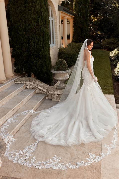 Wedding Gown With Veil 60 Photos