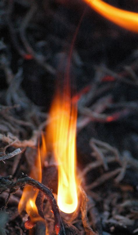 Survival Saturday Starting A Fire