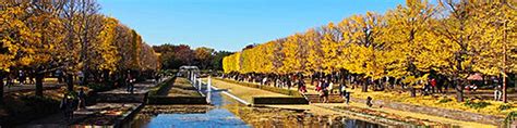 Tachikawa - Wikitravel