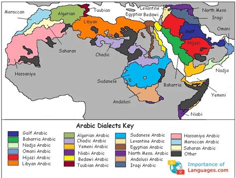 Des Dialectes à Lunité Les Secrets De La Communication Arabe Estribune