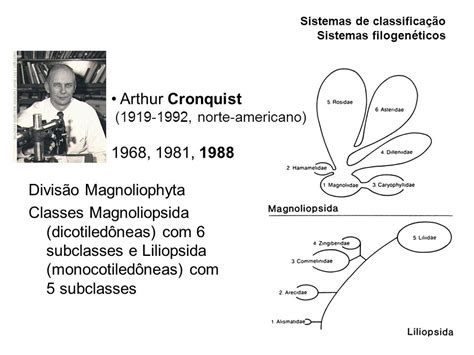 Opiniones De Sistema De Cronquist