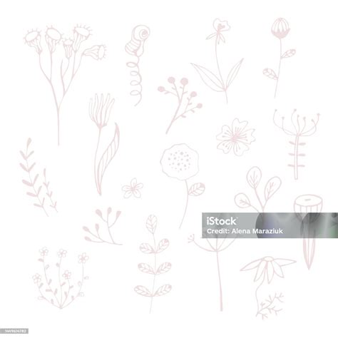 초본 및 초원 식물 잔디 야생화 라인 아트 세트 꽃 낙서 식물 컬렉션입니다 간단한 손으로 그린 요소 흰색 배경에 격리된 벡터 그림 외형선에 대한 스톡 벡터 아트 및 기타