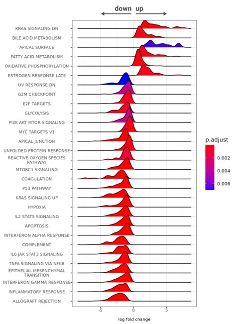 Applications Of Ffpe Samples In Modern Research Lexogen