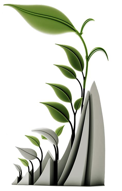 About Systematic Startup By Ricky Coburn