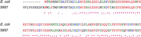 Amino Acid Alignment Of E Coli Mara And Amino Terminus Of The Putative Download Scientific