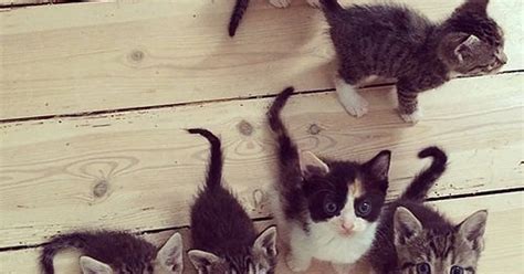 조금순 고수의 에어컨 설치 및 수리 서비스 전북 정읍시 숨고 숨은고수