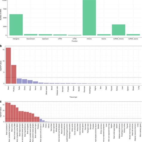 Functional Analyses Of General Cognitive Function Analyses Include Download Scientific Diagram