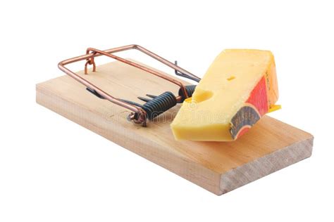 Mousetrap Cheese Mouse Trap Stock Image Image Of Abstract Loaded