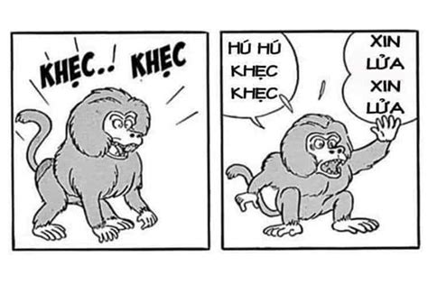 Meme Xin Lửa Là Gì Mà được Cư Dân Mạng Tìm Kiếm Rất Nhiều Trong Thời