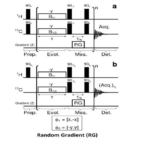 nmr pulse sequence a both kinds of spins are excited for the initial download scientific