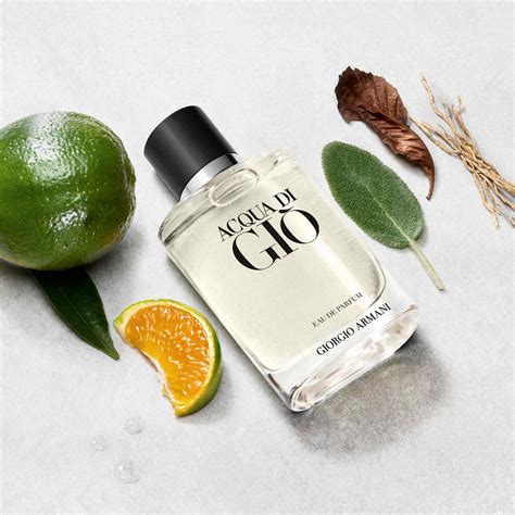Acqua Di Giò Parfum Armani Beauty