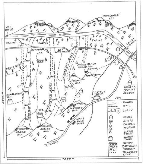 Example Of A Transect Diagram