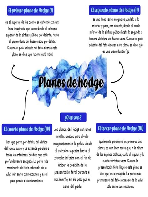 Planos De Hodge En El Parto Fetal Pdf Filosofía