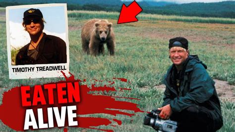 Grizzly Bear Eats Timothy Treadwell Alive And It Was Recorded On Camera