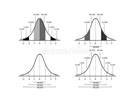Set Of Normal Distribution Chart On White Background Stock Vector Illustration Of Curve