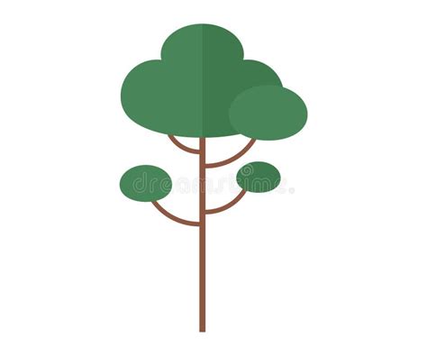 Tree Climate Conditions Influence Growth And Distribution Trees In