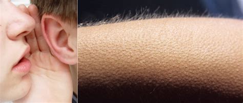 Whisper Goosebumps Blank Template Imgflip