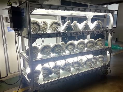 The Difference Between Explosion Proof Lights And Ordinary Lights