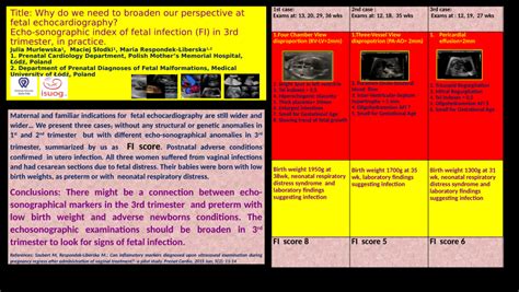 PDF EP Why Do We Need To Broaden Our Perspective At Fetal Echocardiography