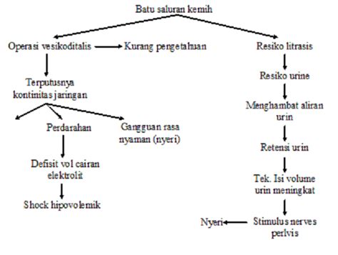 Nefrolitiasis Litiasis Renal
