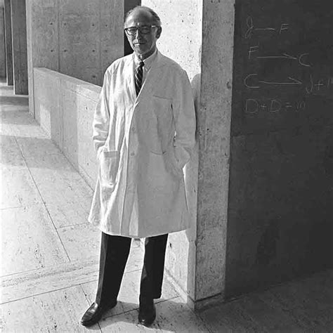 Jonas Salk Nobel Prize