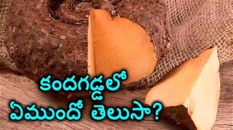 Kanda Dumpa Health Benefits Youtube