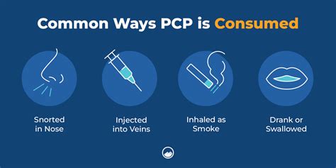 Phencyclidine Pcp And Angel Dust Sandstone Care