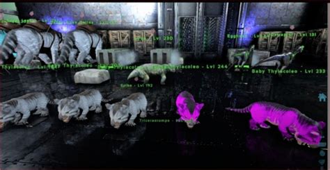 Thylas Thylas Thylas All Things Thyla Creative Chat Ark