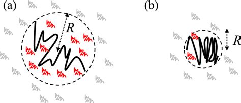 Schematic Illustration Of The Long Polymer And Short Polymers A