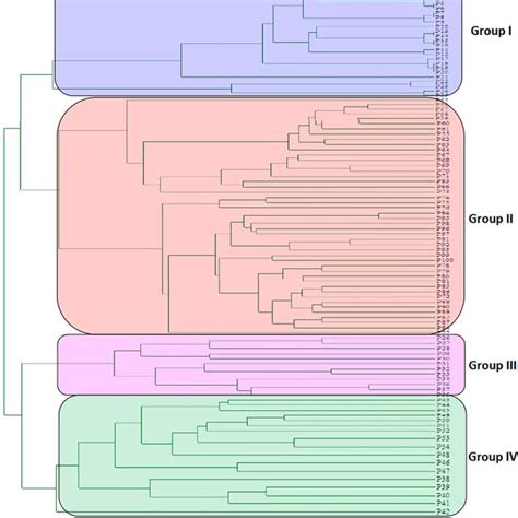 cluster analysis based on expressed sequence tag simple sequence repeat