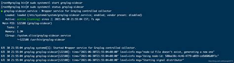 Graylog Sidecar Filebeat日志收集传输工具安装 Csdn博客