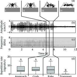 Digging Behaviour And Stridulation In Leaf Cutting Ants A Workers Of