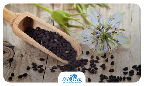 خواص سیاه دانه چیست؟ 10 خواص سیاه دانه