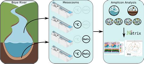 Environmental Microbiology Wiley Online Library