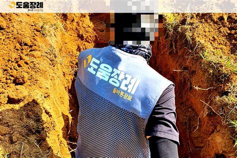 용미리 묘지이장 개장 묘지이장 후기 및 상담 견적신청