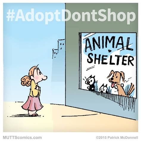 Mutts Comics Animal Shelter Animal Advocacy
