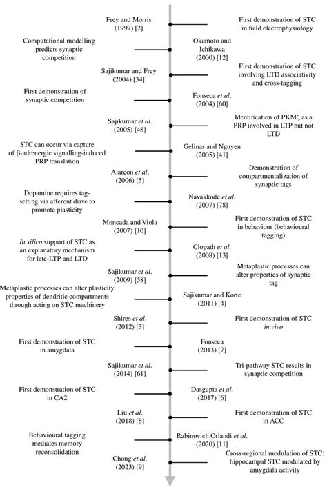 Synapses Tagged Memories Kept Synaptic Tagging And Capture Hypothesis In Brain Health And