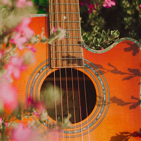 11 Gauge Strings A Guide By Zager Zager Guitar Blog 11 Gauge Strings A Guide By Zager Zager Guitar Blog