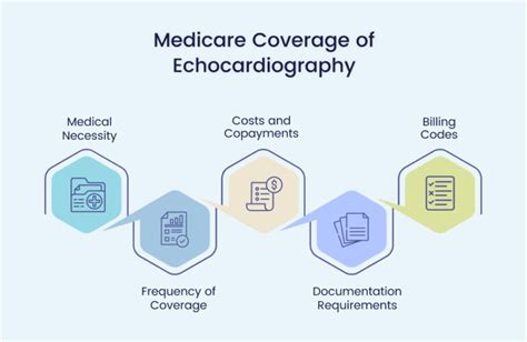 Essential Cpt Codes For Transthoracic Echocardiography Billing