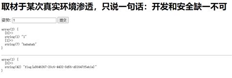 Ctf Web Sql注入专项整理（持续更新中）ctf Sql注入 Csdn博客